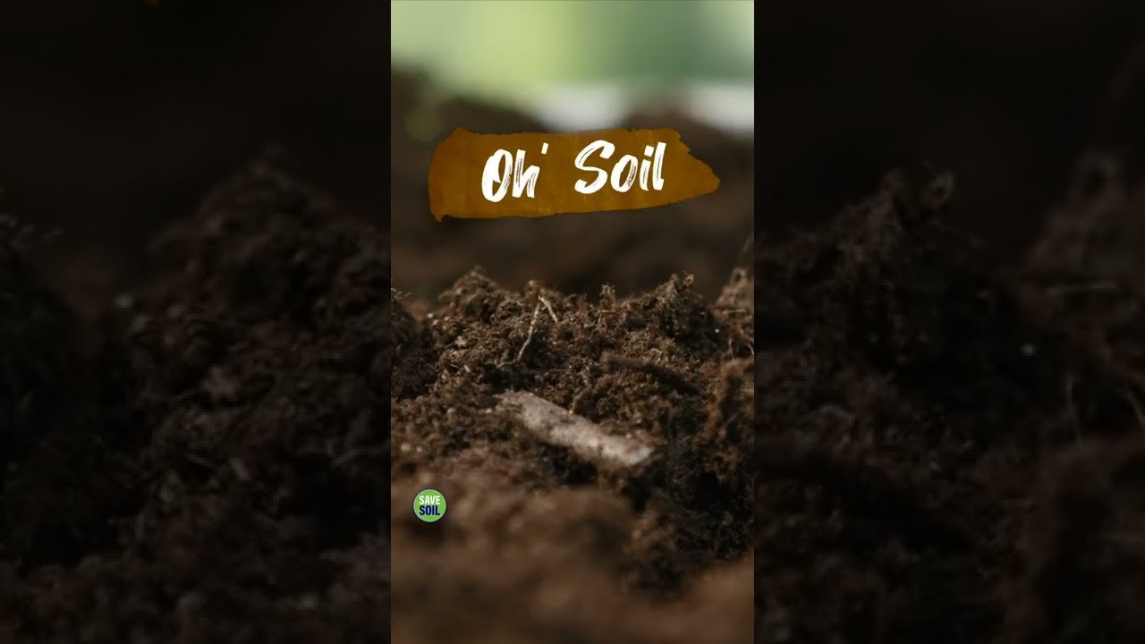 Oh' Soil - A Poem by Sadhguru | Sadhguru #shorts #poem - The Hearty Spirit