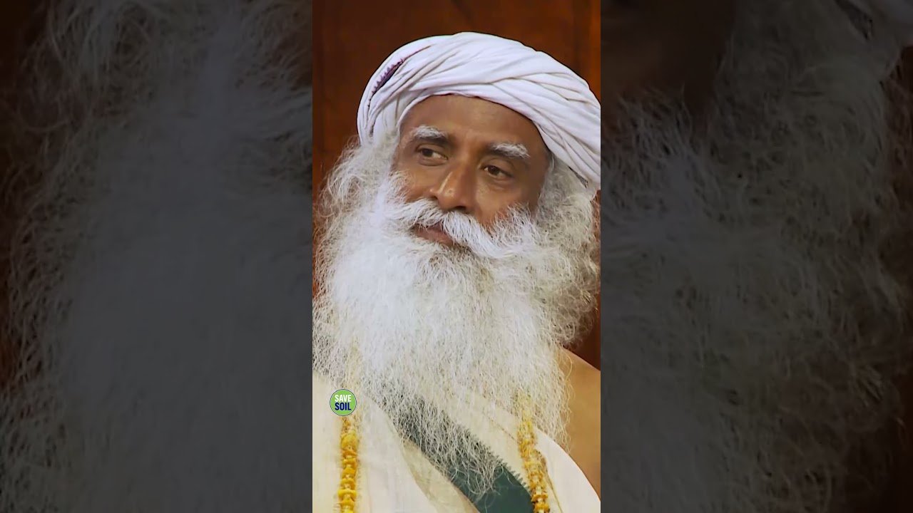 What City Pollution Does To You - The Hearty Spirit